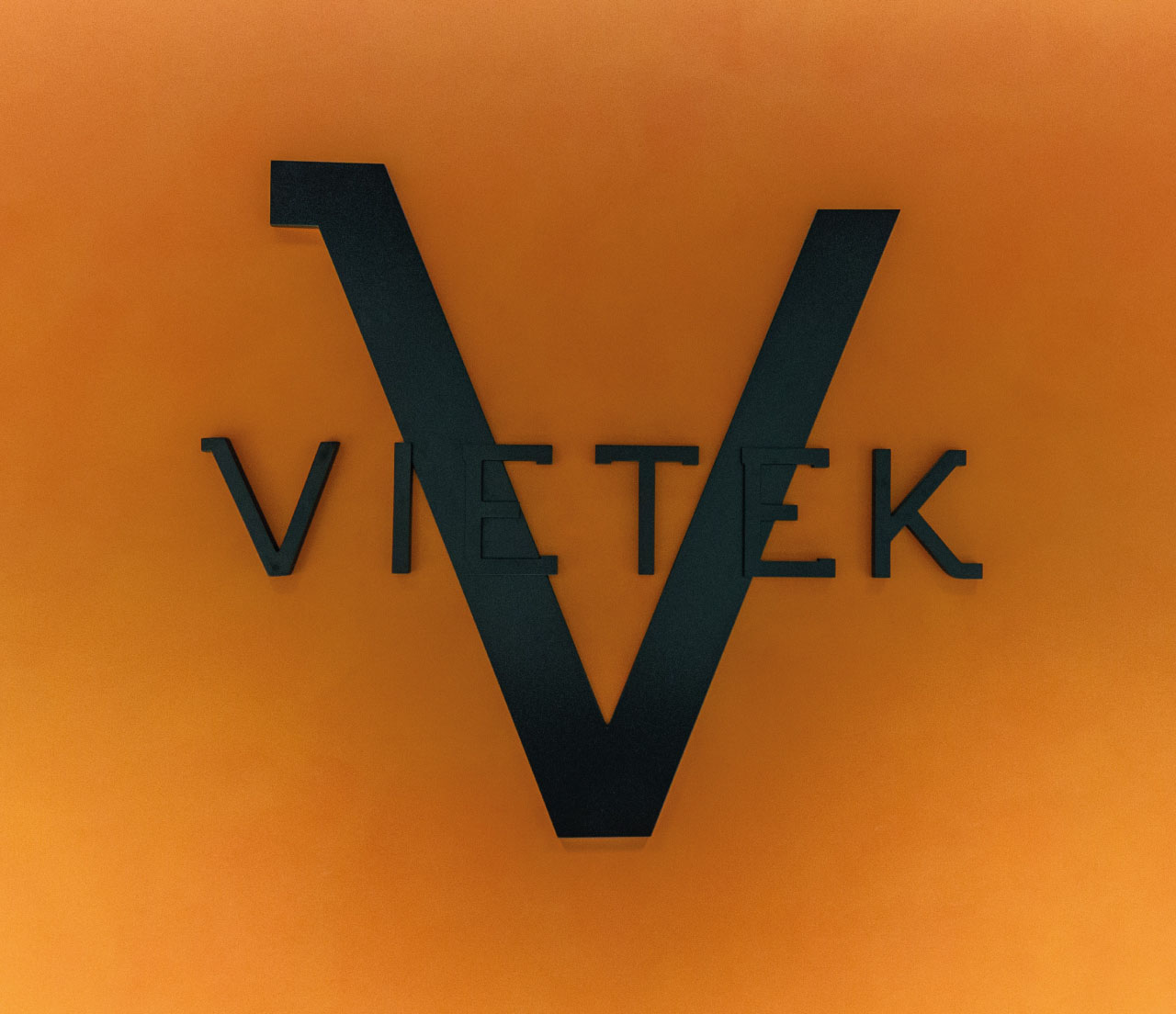 Cosa facciamo - Vietek